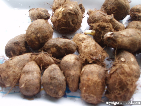 Cocoyam :: Ingredients on My Nigerian Food | My Nigerian Food