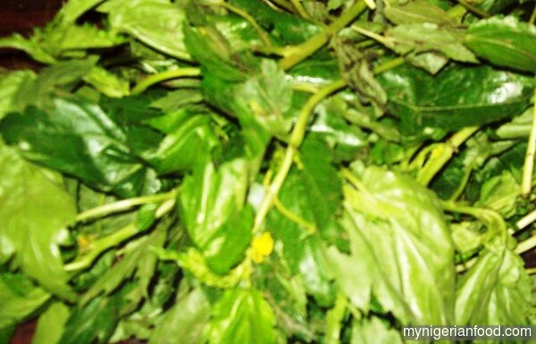 Ewedu leaf :: Ingredients on My Nigerian Food | My Nigerian Food